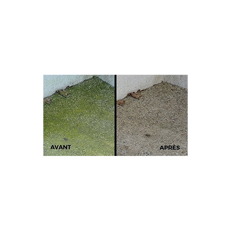 D-MOUSS PRO Anti Mousse Prêt à l'Emploi Bidon 5L jusqu'à 50 m², Usage ...